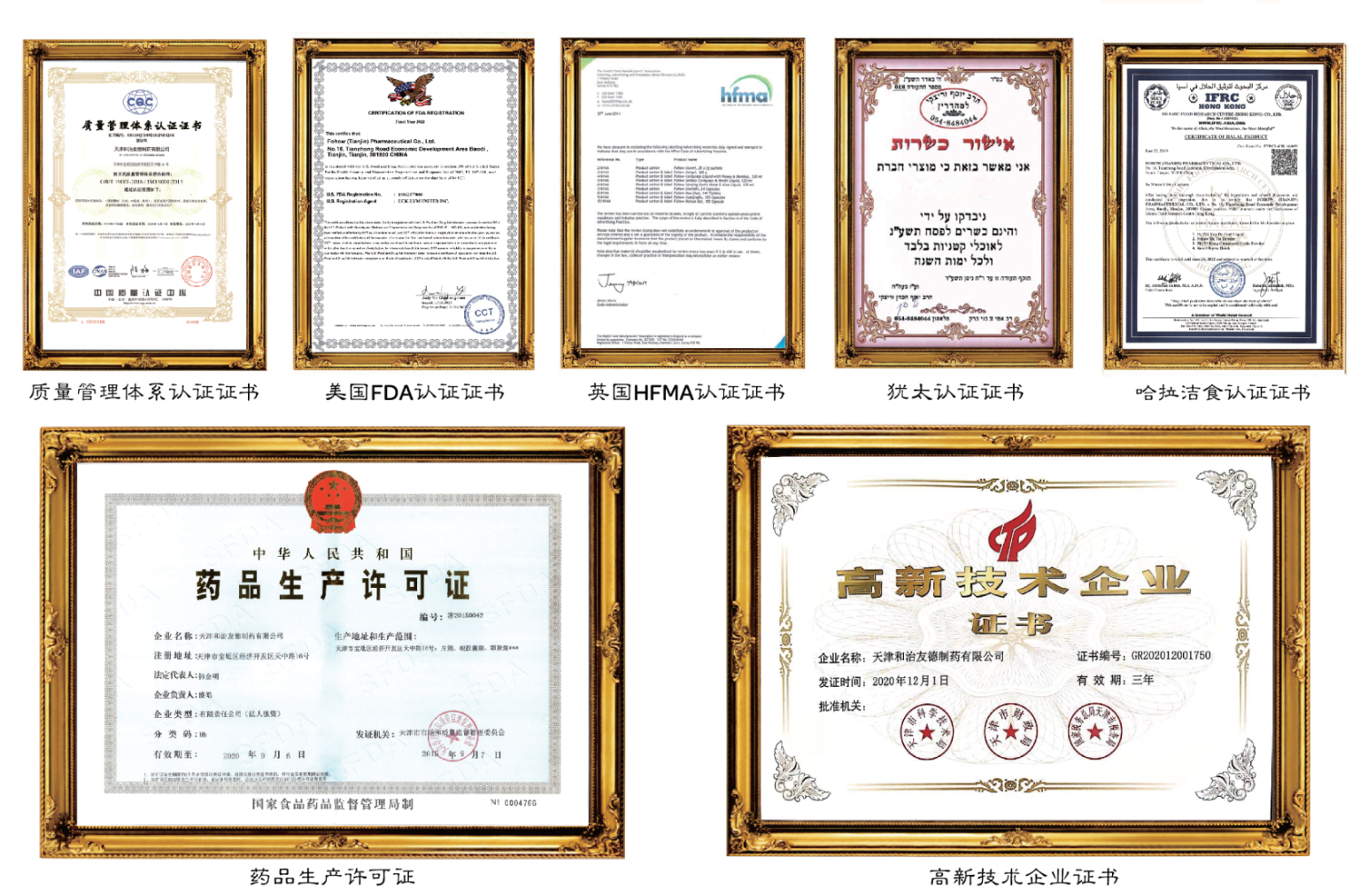 About Us – Fohoway Malaysia